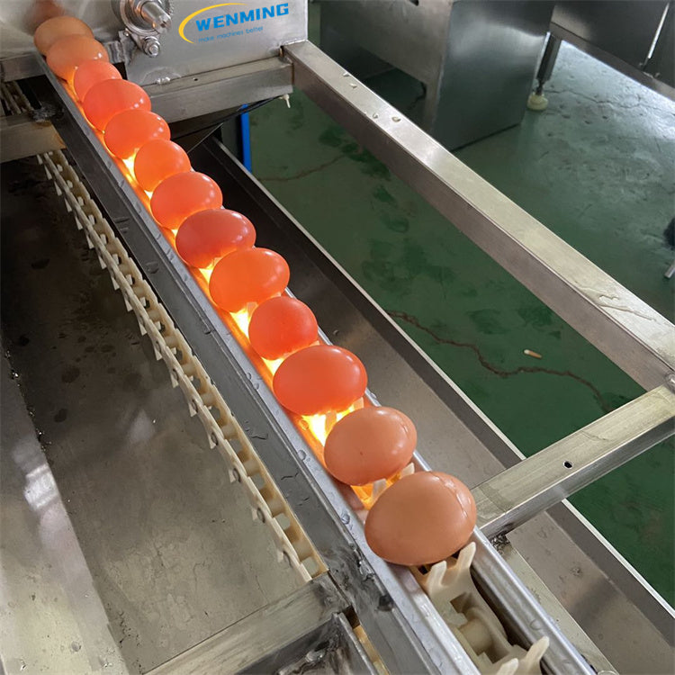Commerical EGG Candling Machine for sale egg crack detection – WM machinery